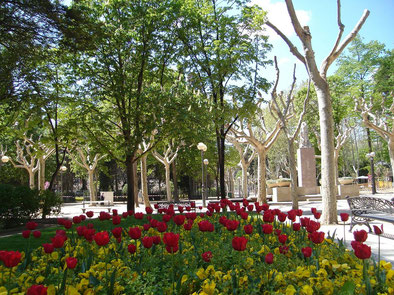 El Parque Miguel Servet En Huesca DescubreHuesca El Parque Miguel Servet En Huesca DescubreHuesca